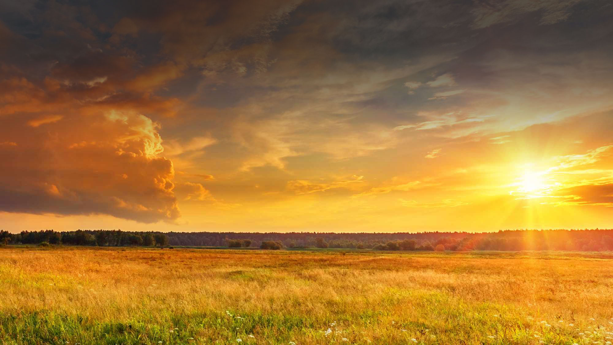 The Area's leading estate agency in South Manchester & The High Peak ...