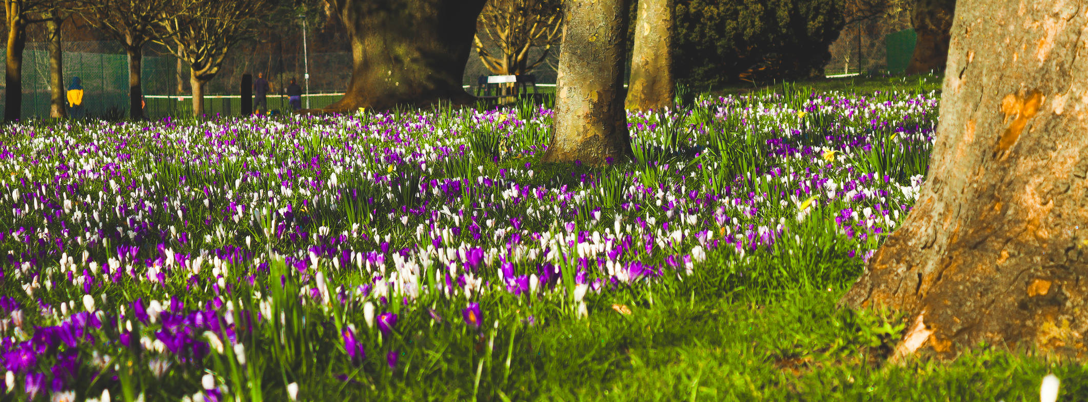 The Area's leading estate agency in South Manchester & The High Peak ...